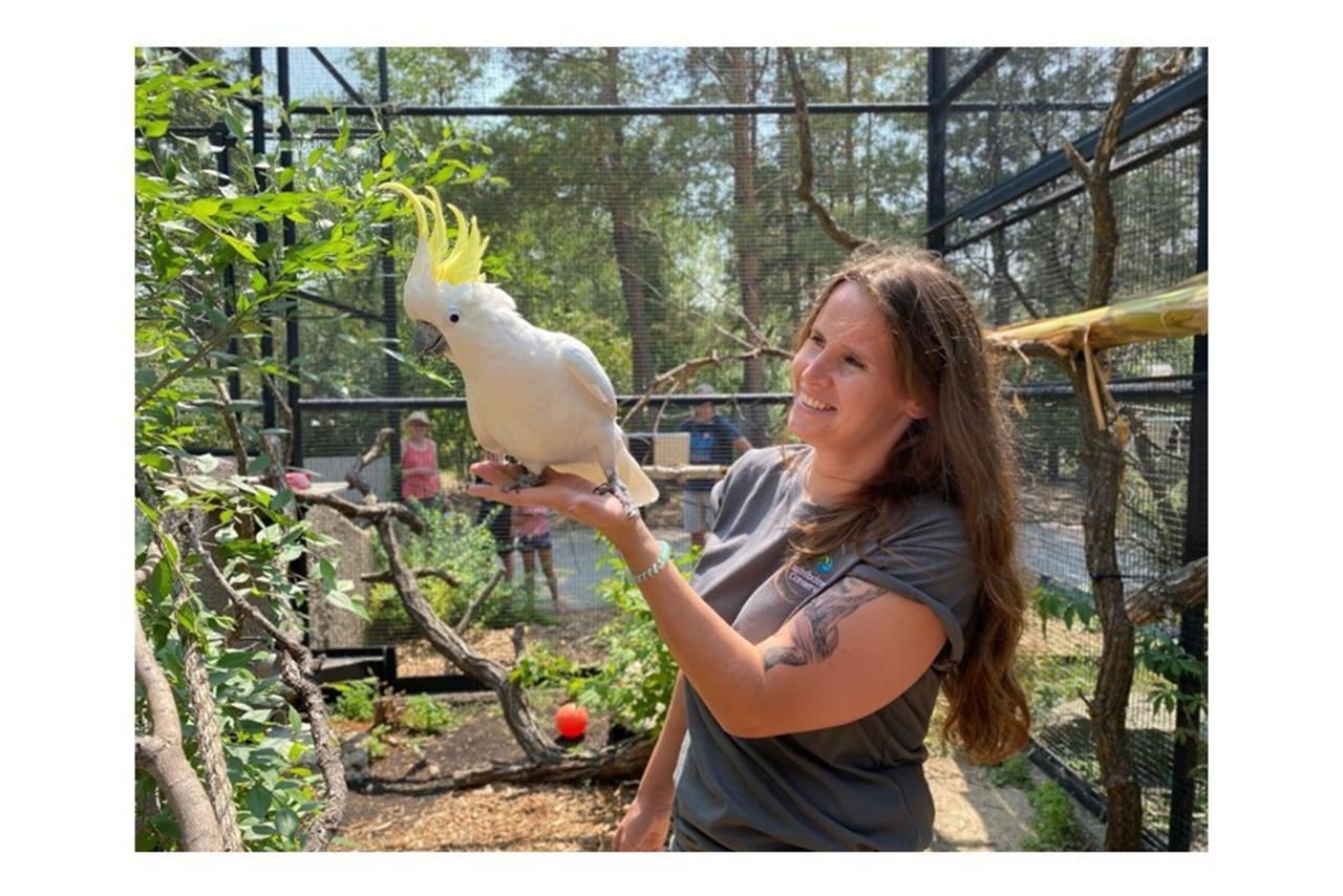 Toucan Ridge Bird Training Experience for 4 | Powered by Givergy